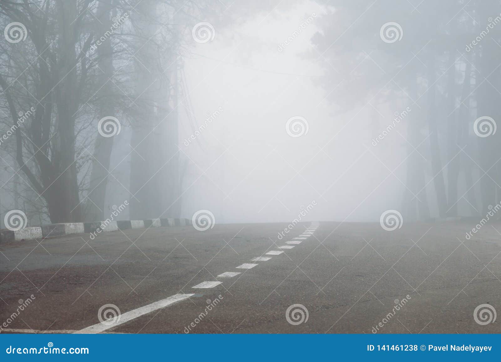 Road in Fog Forest. Dangerous Road Due To Fog Stock Photo - Image of ...