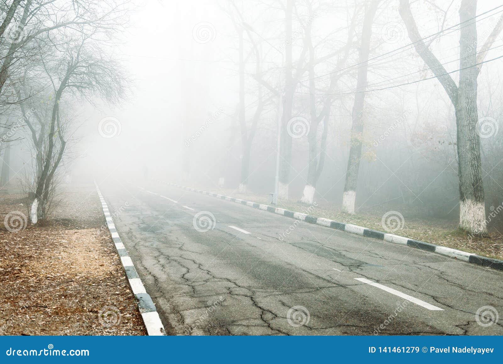 Road in Fog Forest. Dangerous Road Due To Fog Stock Image - Image of ...