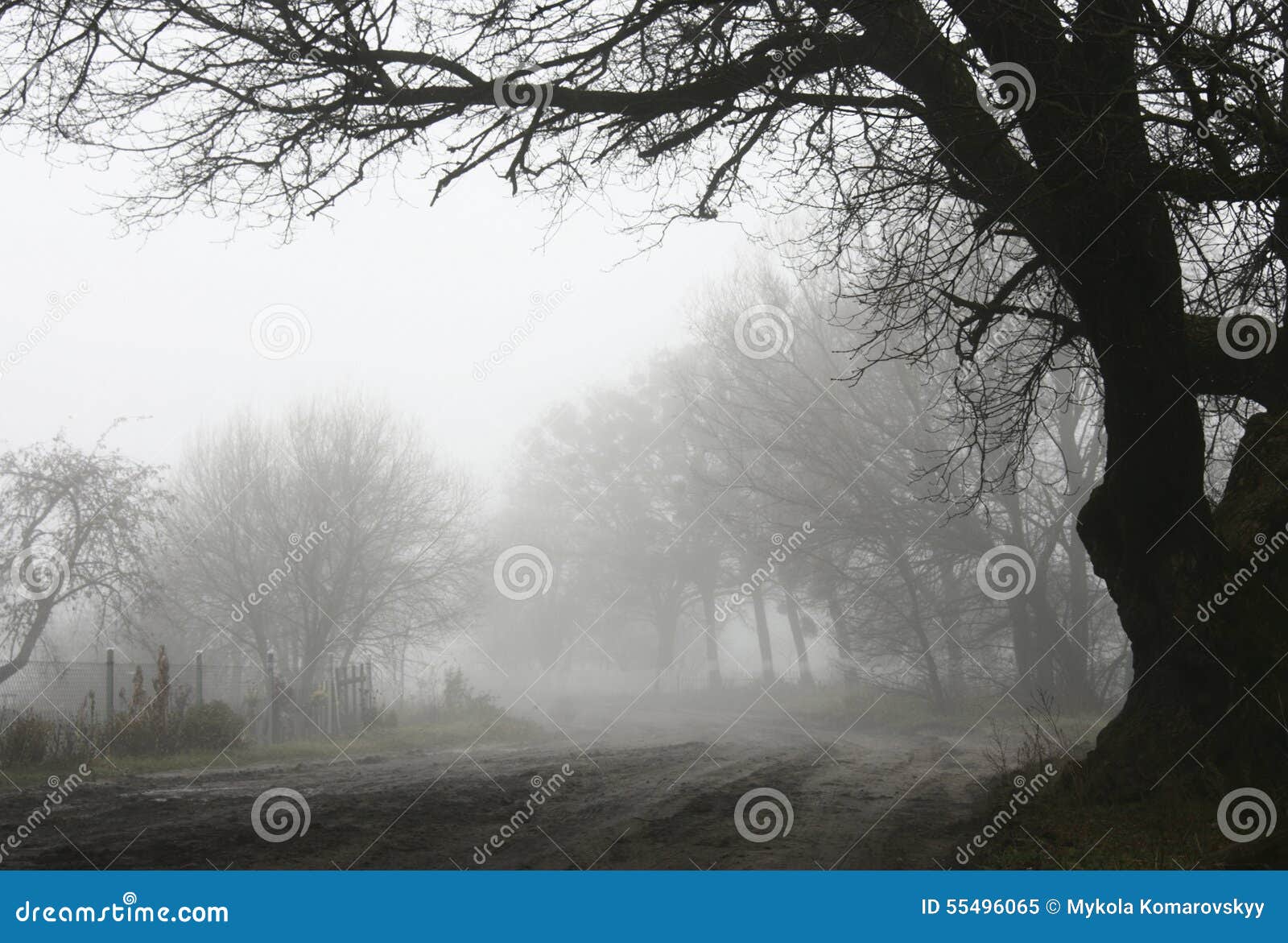 Road into the fog stock image. Image of path, outdoors - 55496065