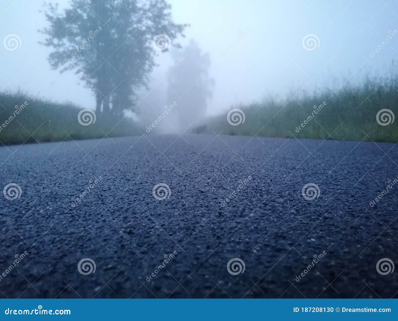 Road with fog stock photo. Image of grass, mist, menace - 187208130