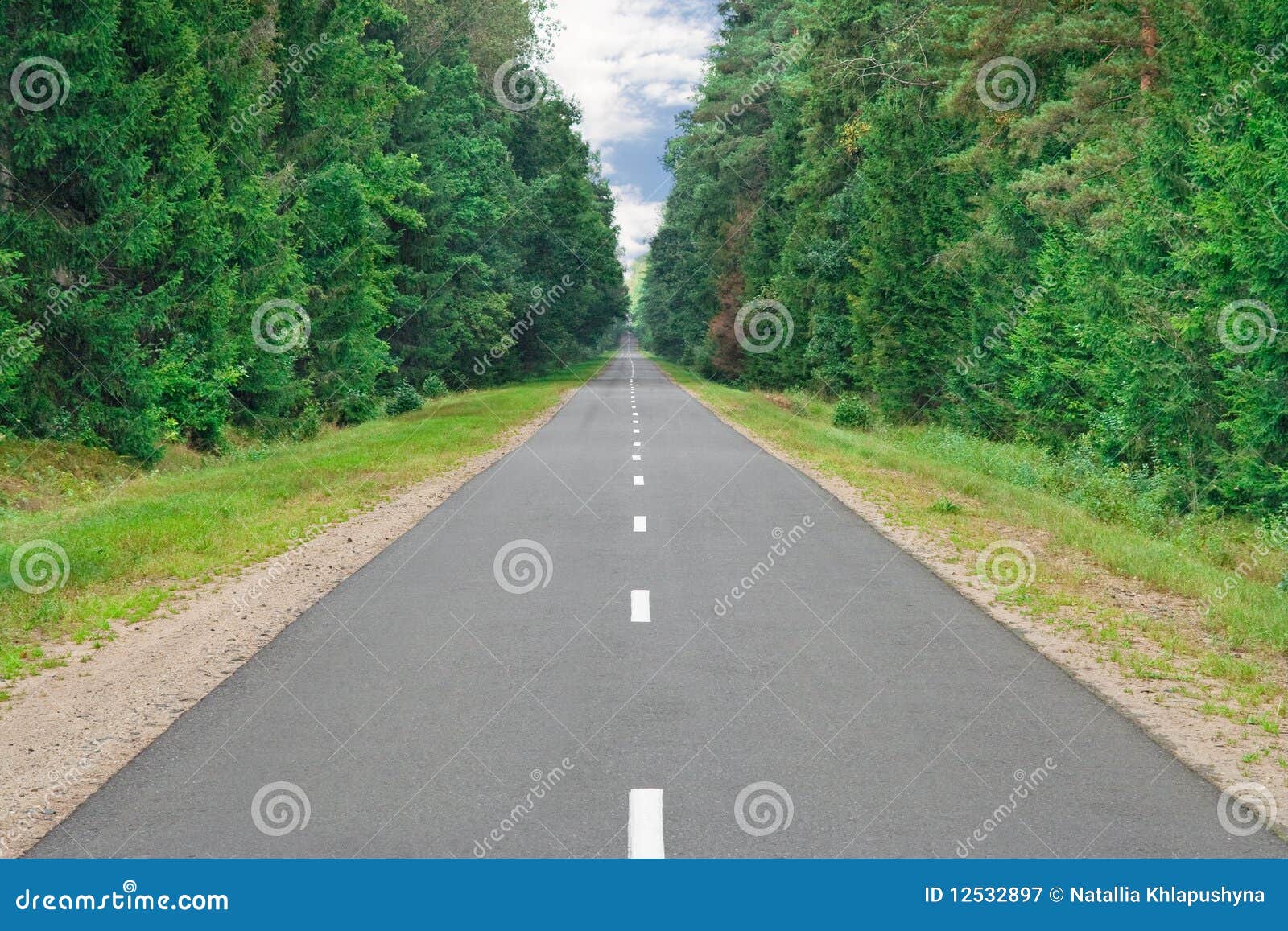 Road in forest stock image. Image of highway, lines, carriageway - 12532897