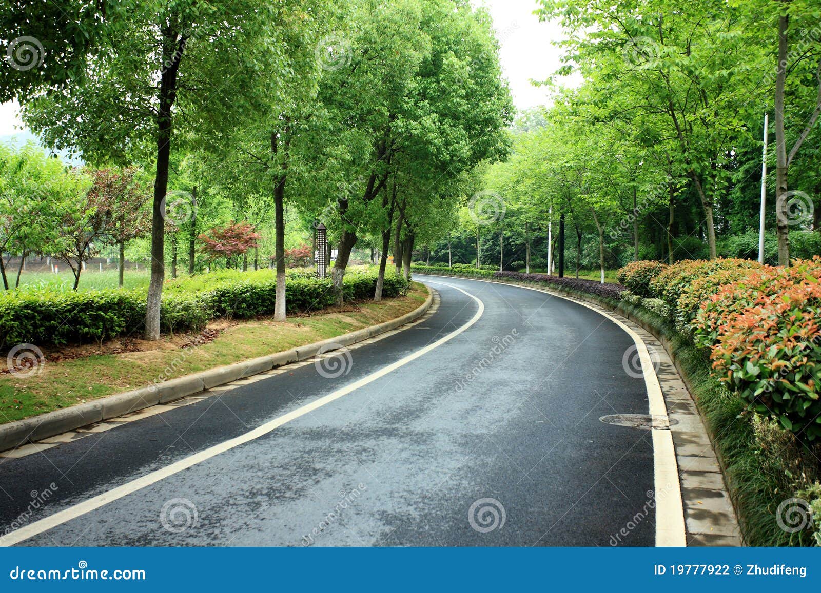 Road through forest stock photo. Image of freedom, environment - 19777922