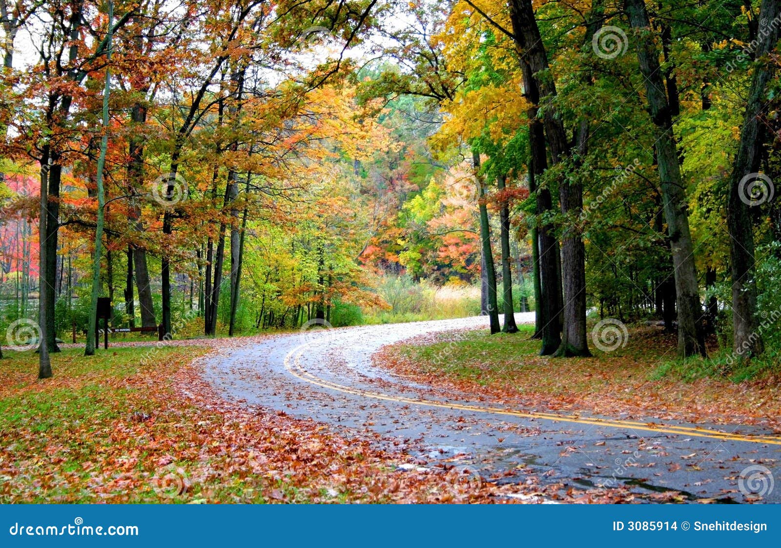 Never Ending Road Trees Photos - Free & Royalty-Free Stock Photos from ...