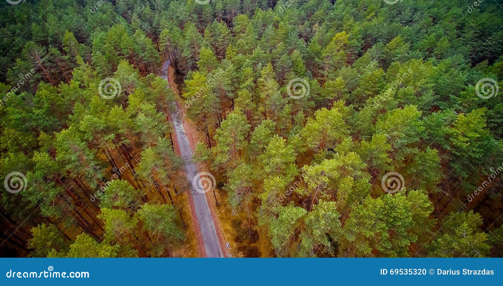 Road in forest aerial stock photo. Image of fall, remote - 69535320