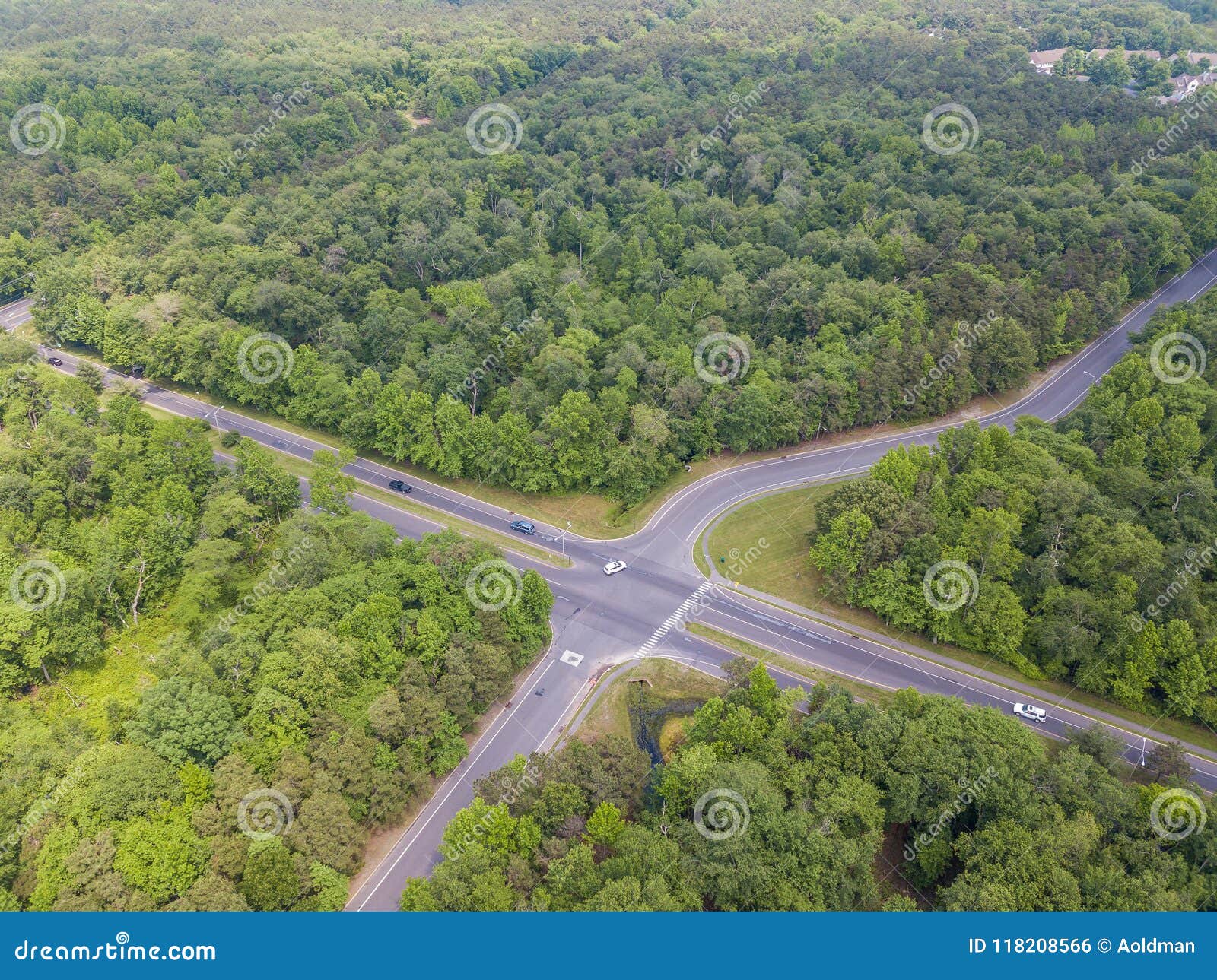 Road in the forest stock photo. Image of natural, nature - 118208566