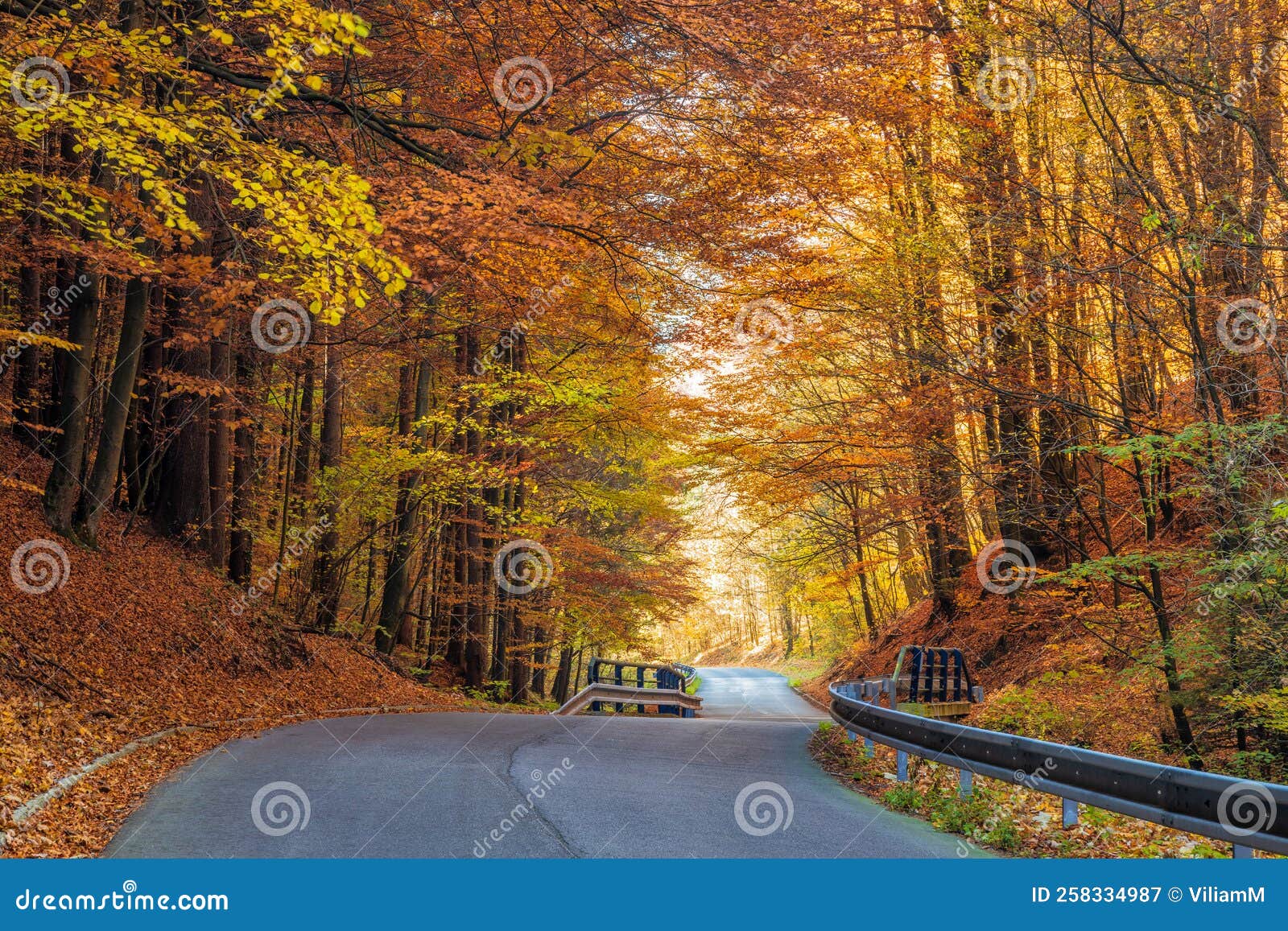 The Road through a Forest in Autumn Country Stock Image - Image of hope ...