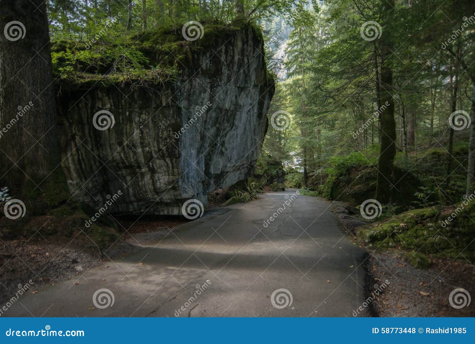 Road in the forest stock photo. Image of rock, mountains - 58773448
