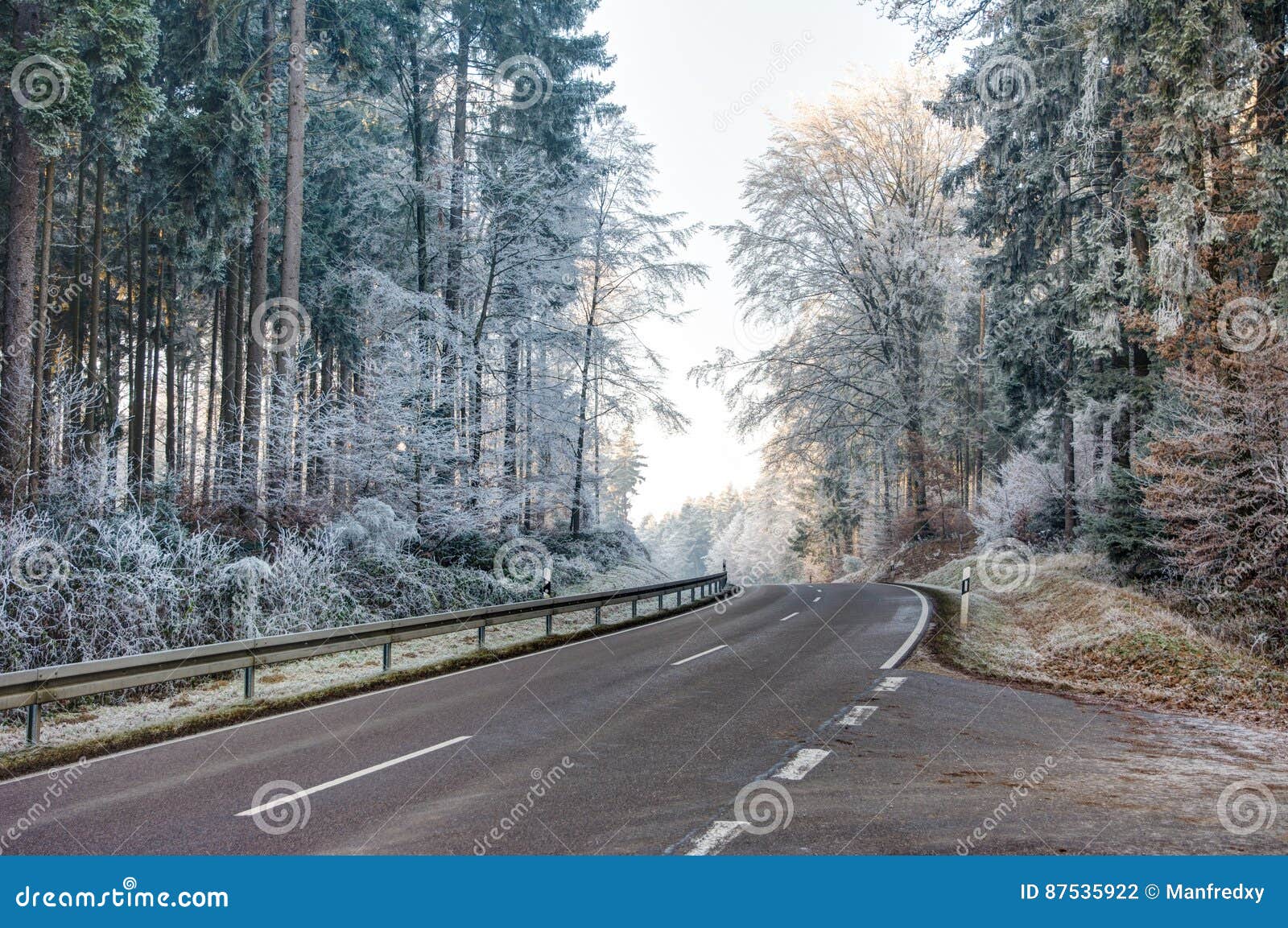 Road through a Forest with Frosted Trees Stock Photo - Image of street ...
