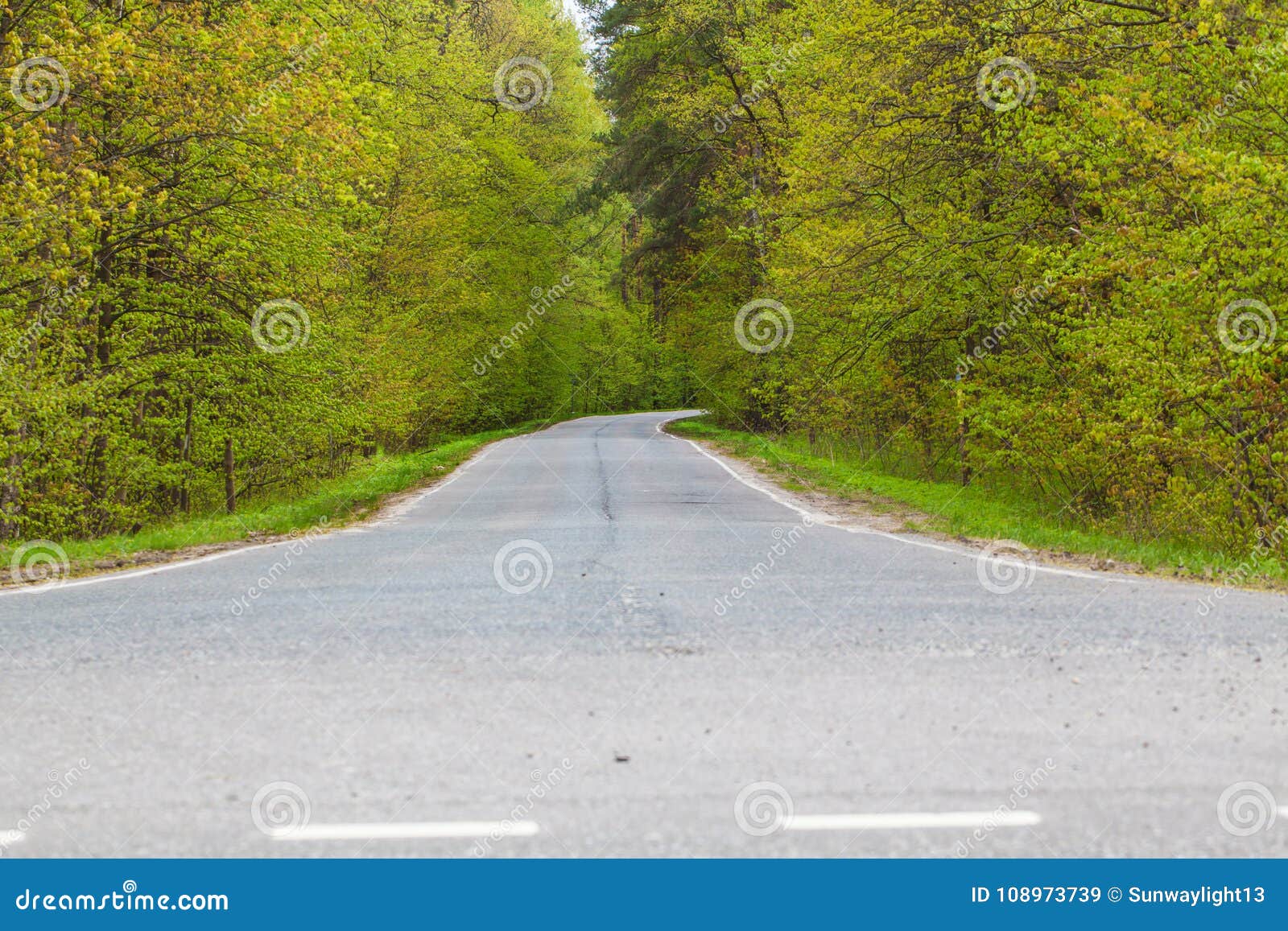 Road in Forest, Intersection Stock Image - Image of detail, path: 108973739