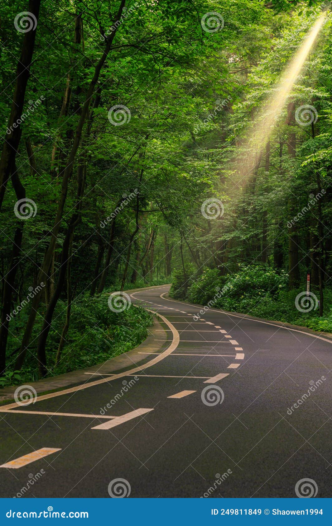 Forest Road Sun Beams and Rays Stock Image - Image of leaves, yellow ...