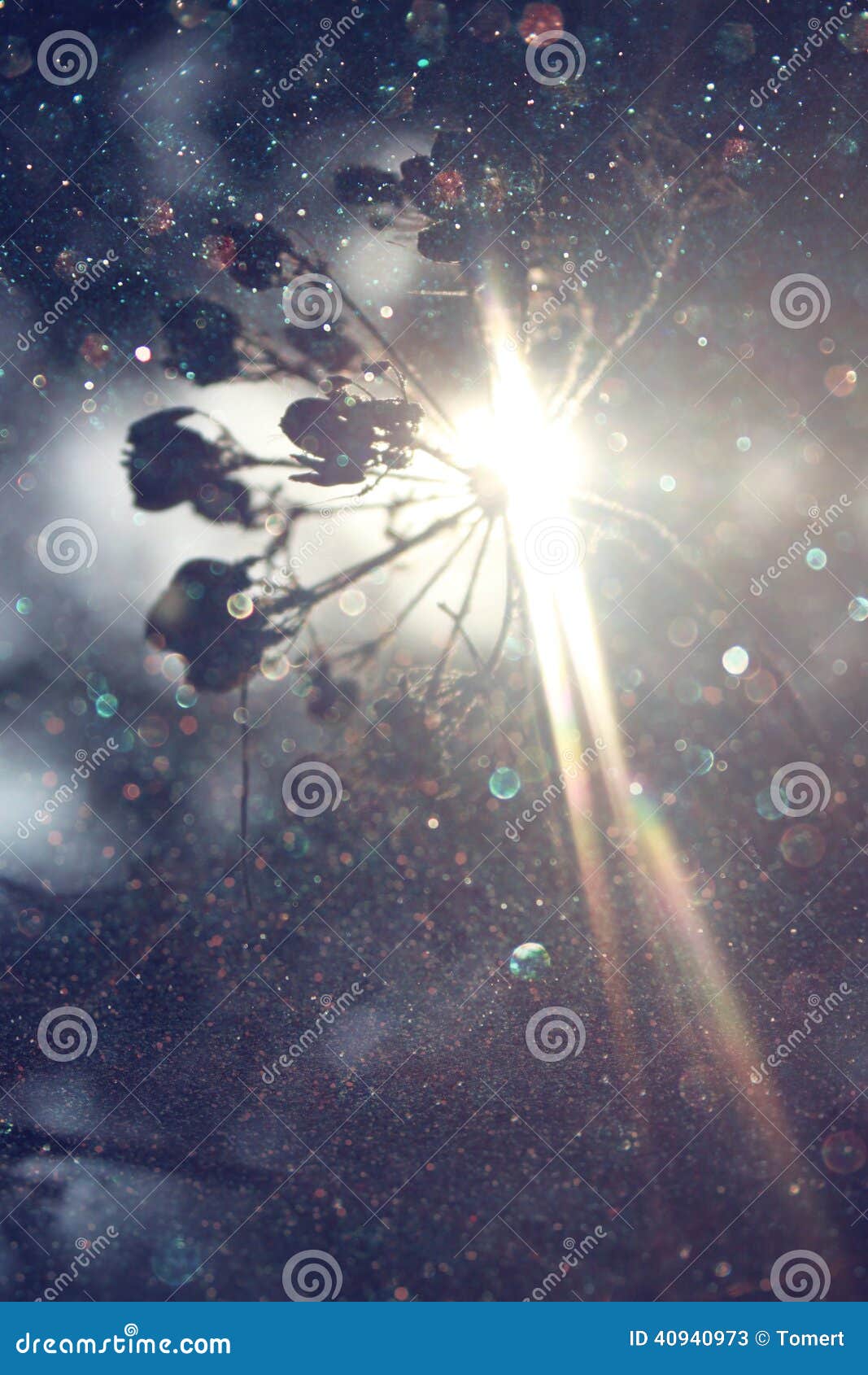 Road in Forest and Light Burst. Processed Image As Fantasy or Magical ...