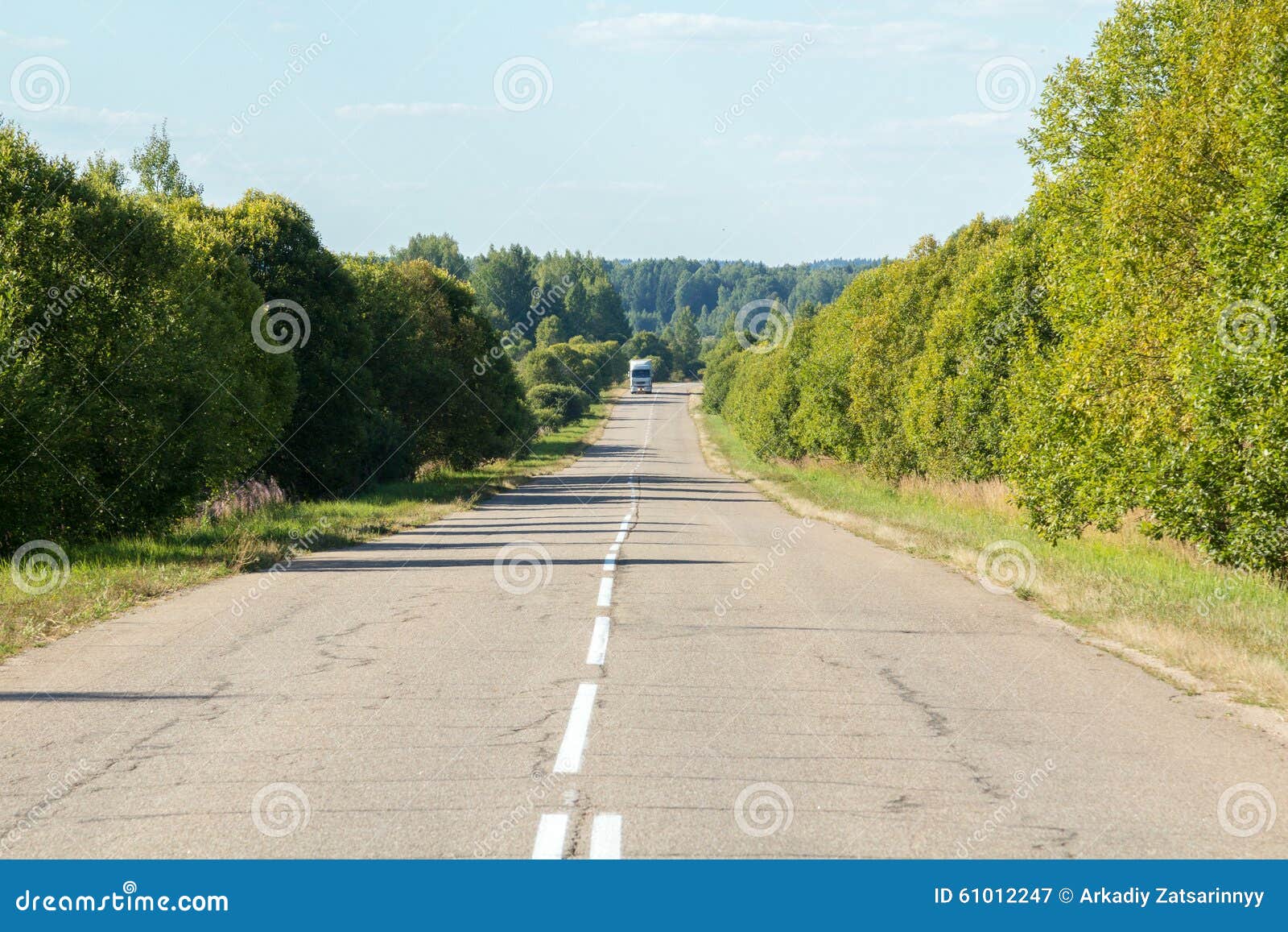 Road in the Forest with a Lorry in the Distance. Stock Image - Image of ...