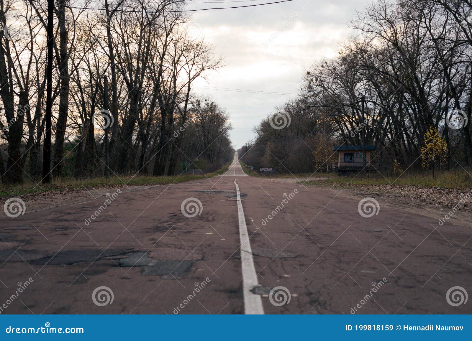 The Road in the Forest in Pripyat in Chernobyl Stock Image - Image of ...
