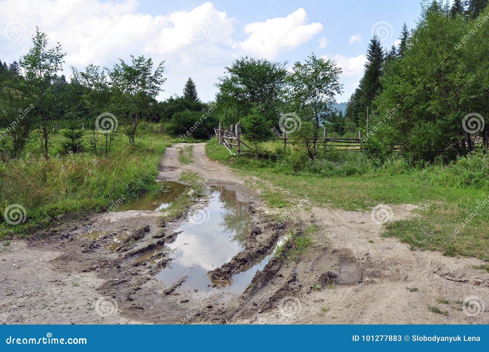 Road forest, puddle stock image. Image of september - 101277883