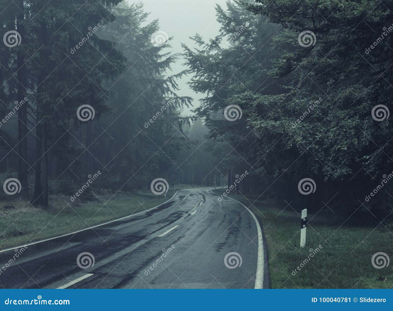 Road through a Forest stock image. Image of color, natural - 100040781