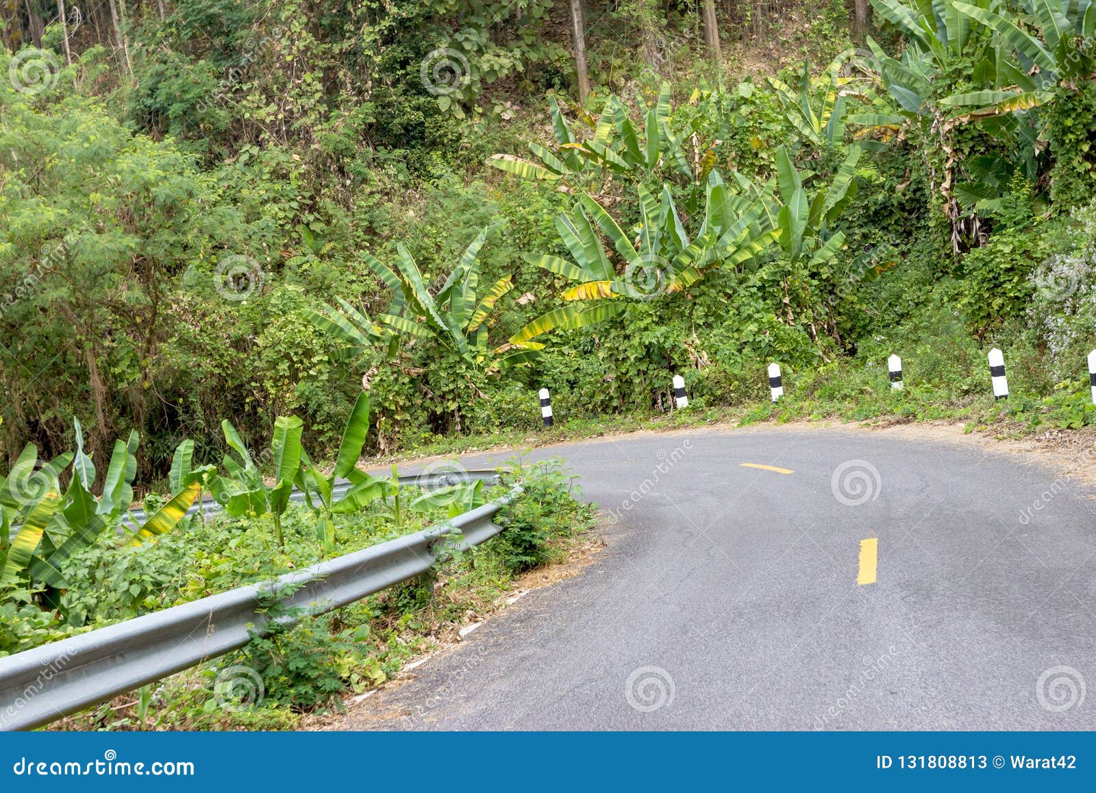 Road in the Forest with Safety Guard Stock Image - Image of road, line ...