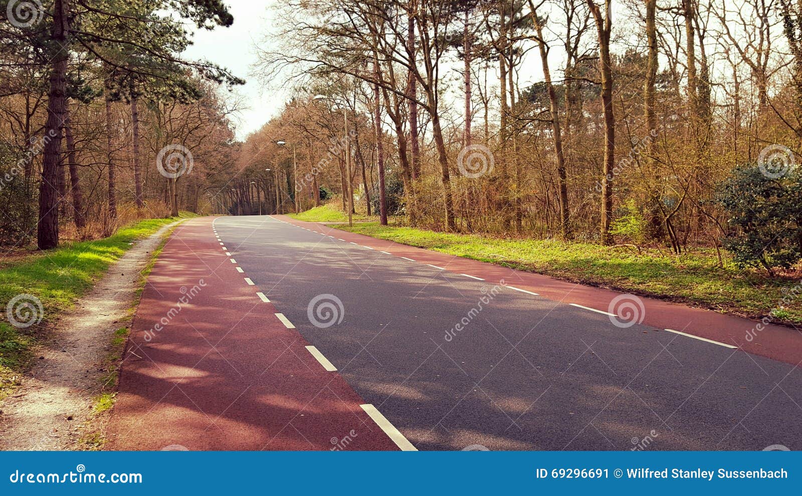 Road through a forest stock image. Image of forestry - 69296691