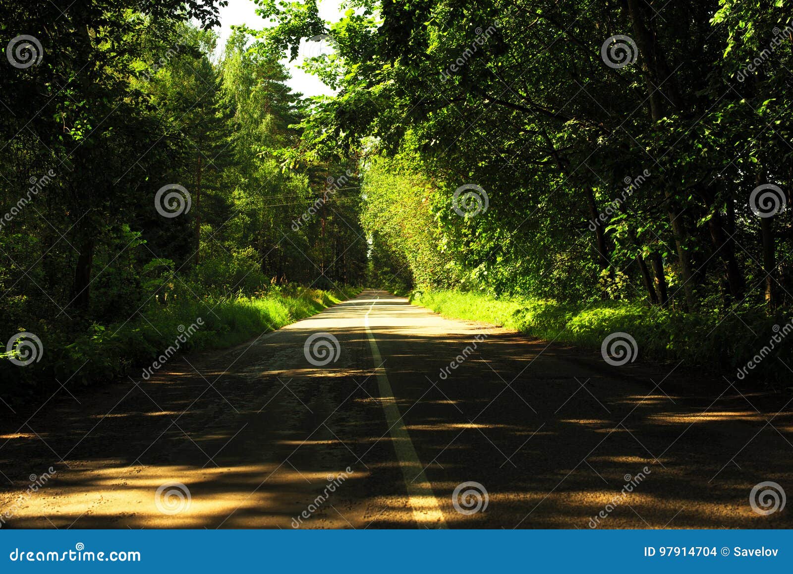 Road in the Forest with Shadows from Trees and Sunlight Stock Photo ...