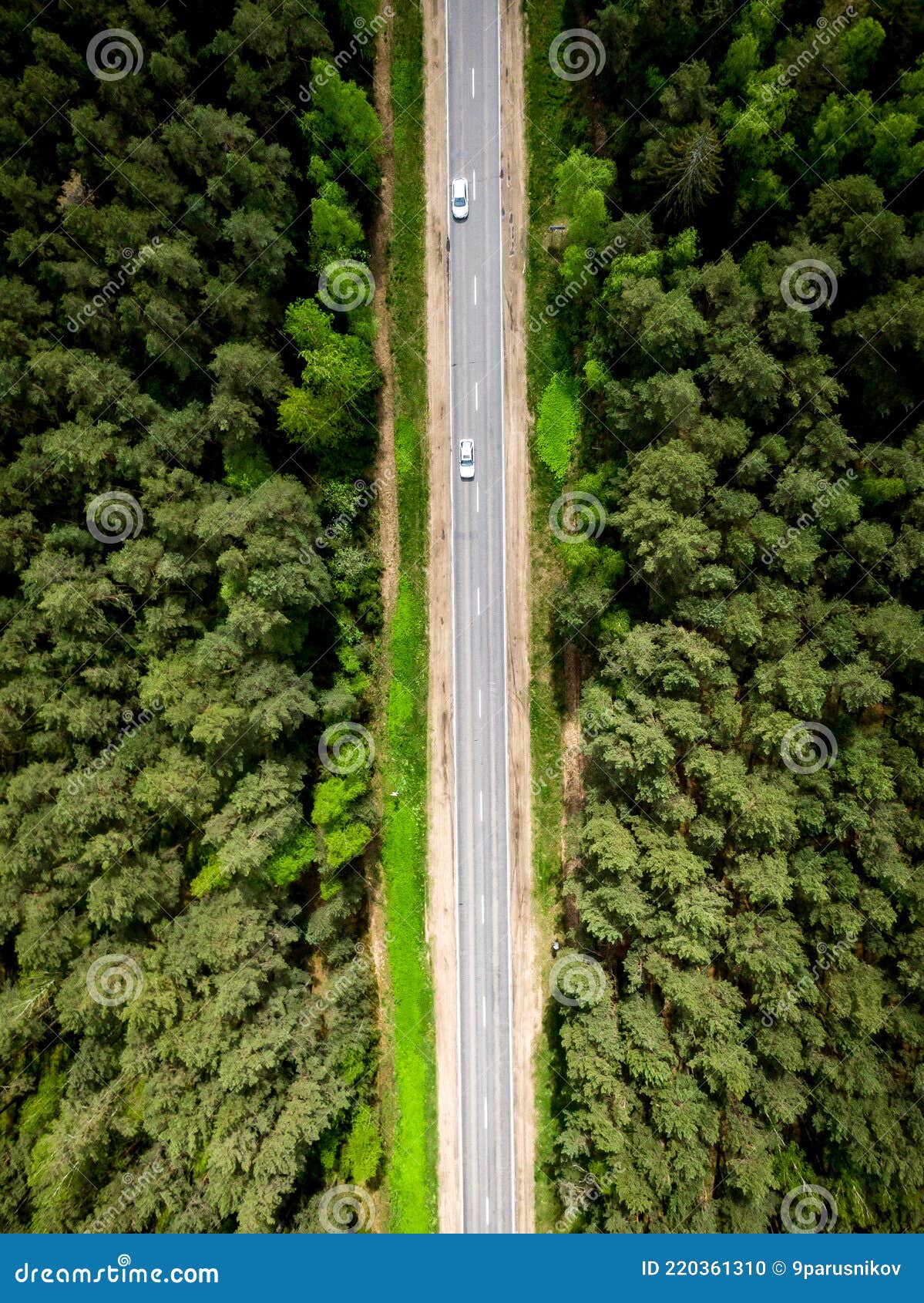 The Road through the Forest. Top View. Stock Photo - Image of ...