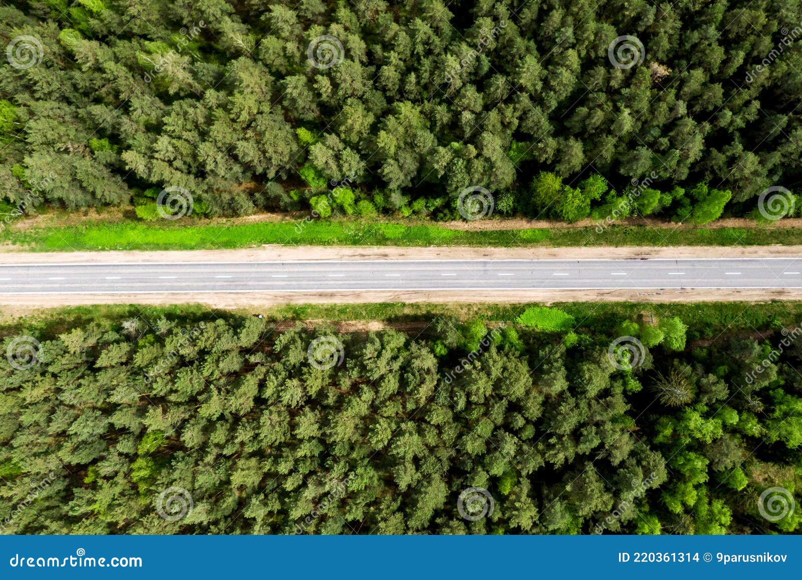The Road through the Forest. Top View. Stock Photo - Image of autumn ...