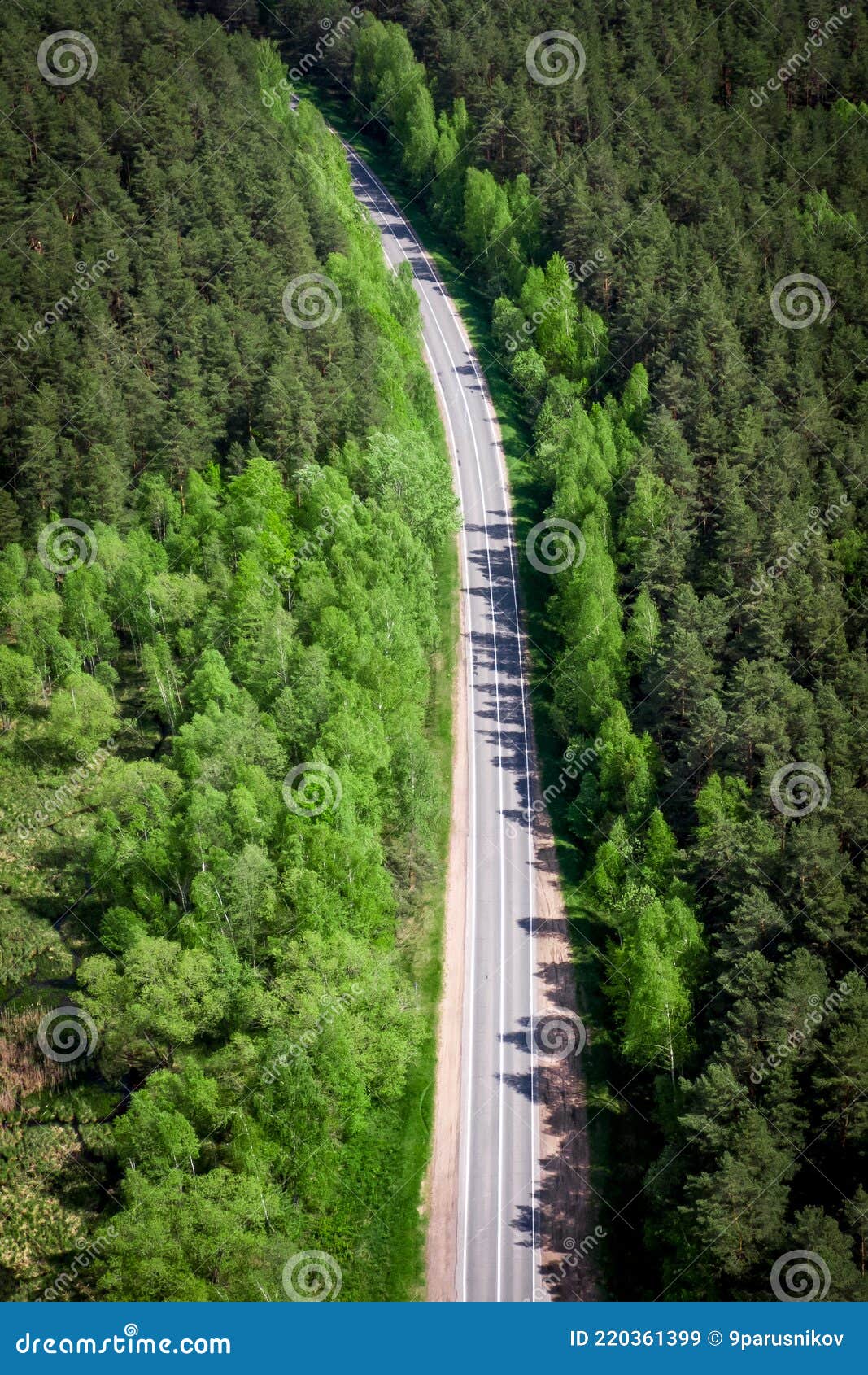 The Road through the Forest. Top View. Stock Image - Image of landscape ...