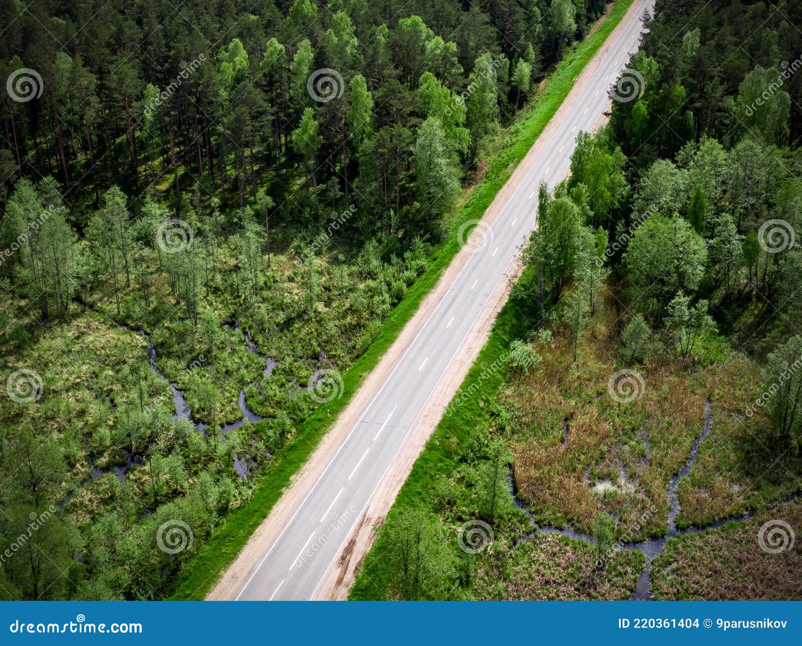 The Road through the Forest. Top View. Stock Photo - Image of beauty ...