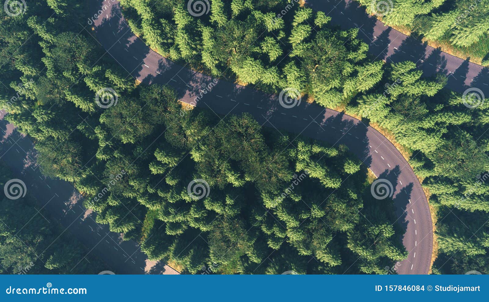 Road among the Forest, Top View Stock Photo - Image of bird, rural ...