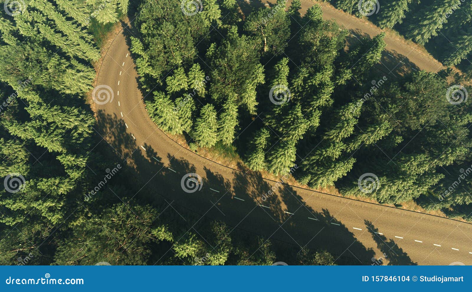 Road among the Forest, Top View Stock Photo - Image of nature ...