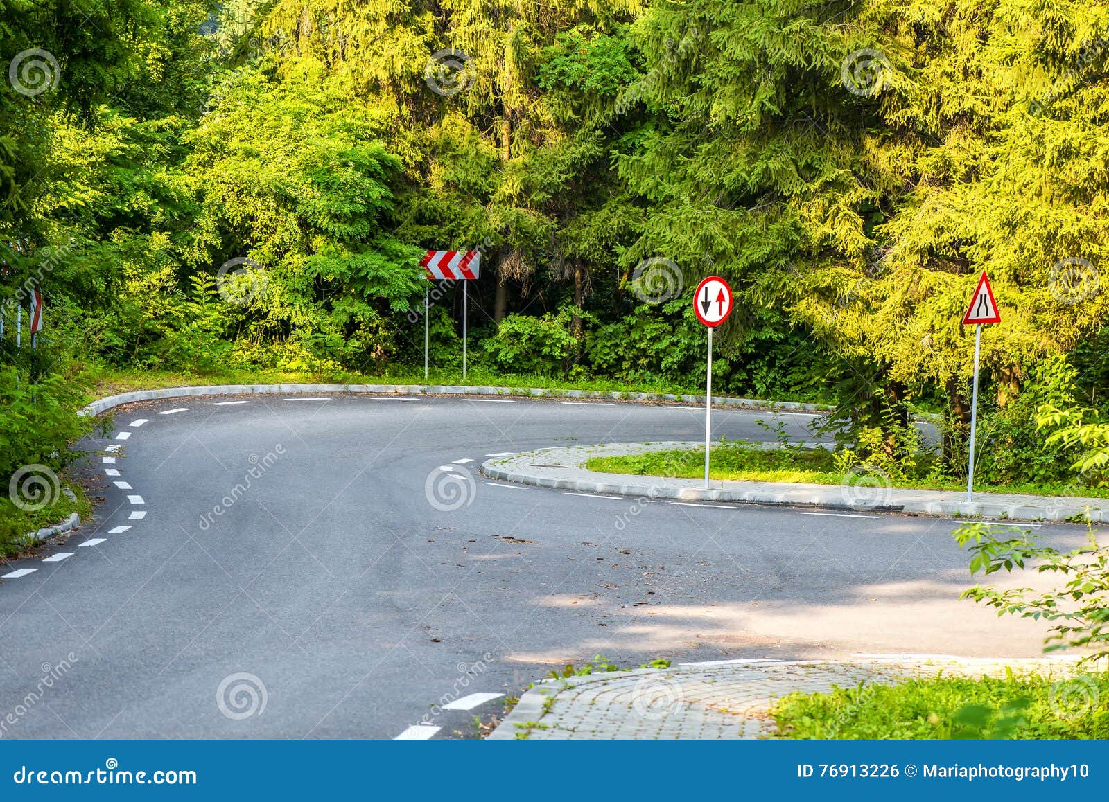 Forest Of Street Signs Royalty-Free Stock Photography | CartoonDealer ...