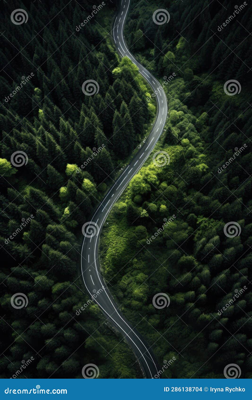 Road in the Forest Up To Mountain Stock Illustration - Illustration of ...