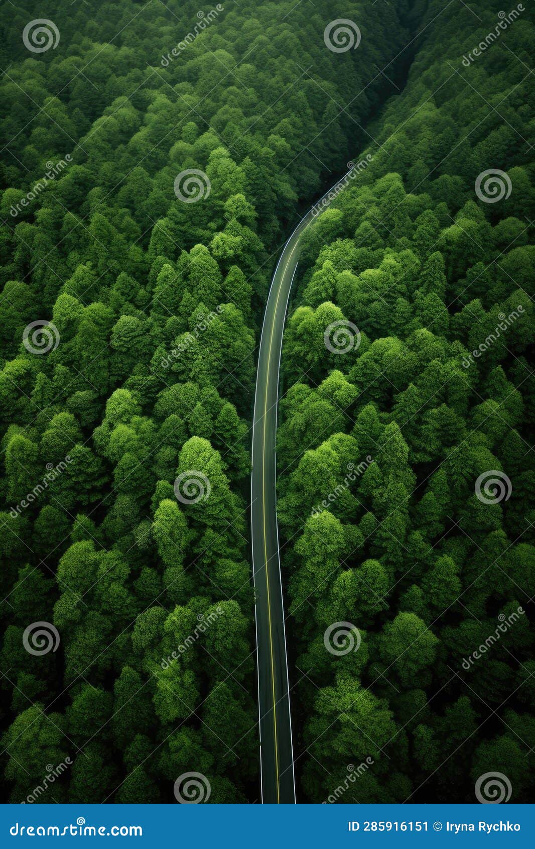 Road in the Forest Up To Mountain Stock Illustration - Illustration of ...