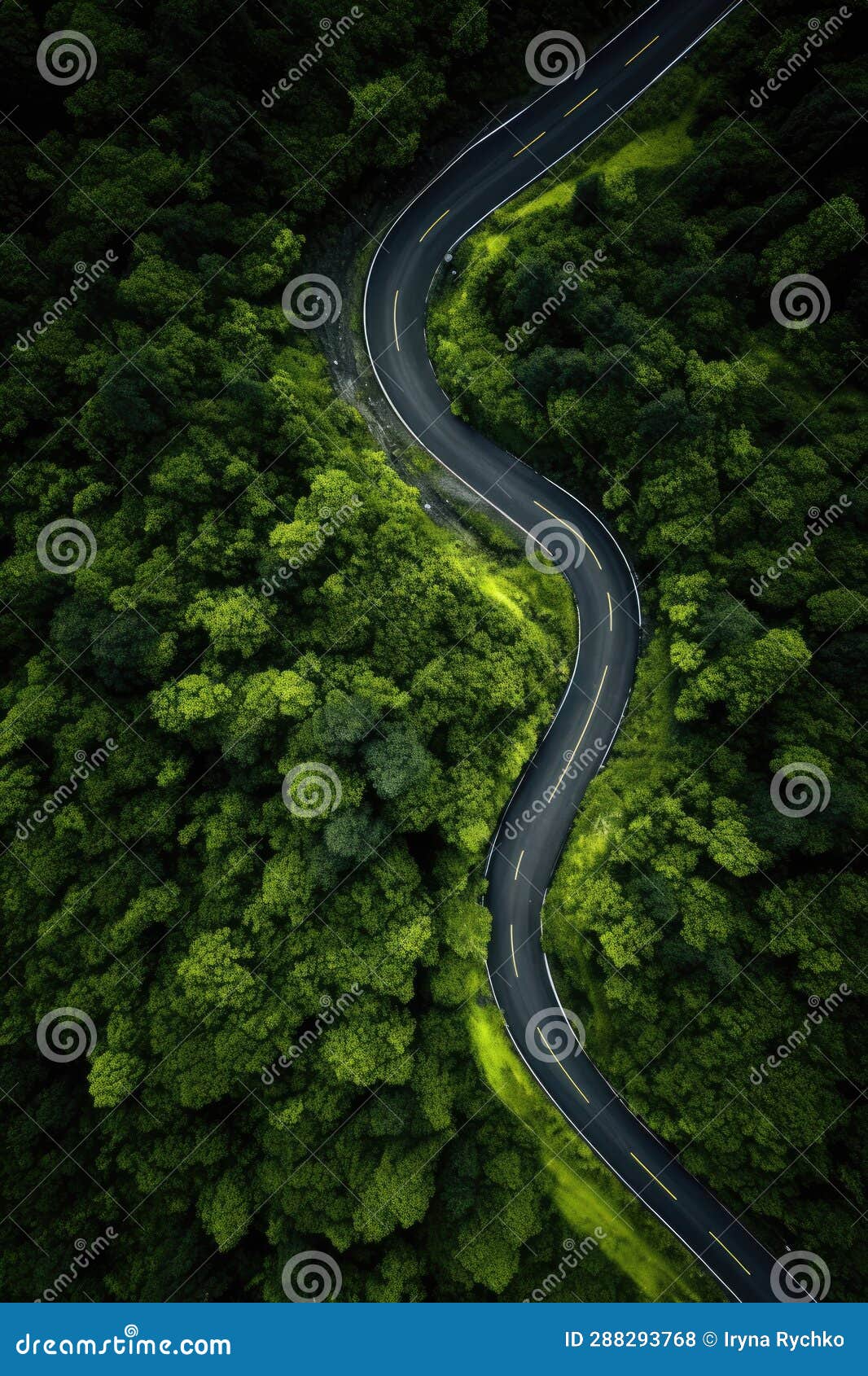 Road in the Forest Up To Mountain Stock Photo - Image of nature ...