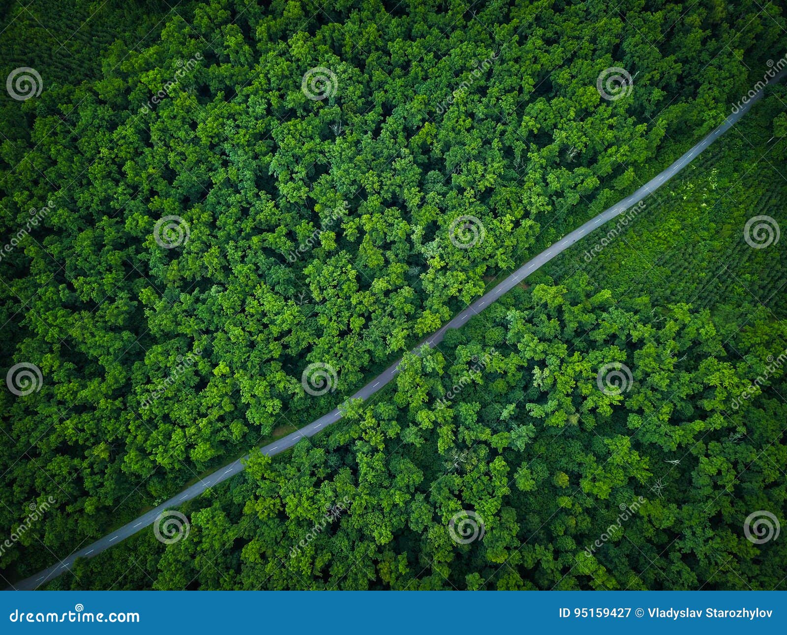 Road through the Forest, View from Height - Aerial Photo Stock Image ...