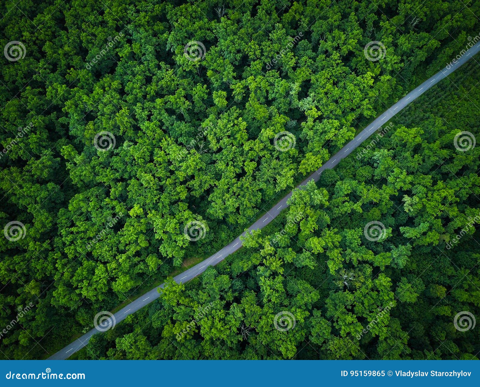 Road through the Forest, View from Height - Aerial Photo Stock Image ...