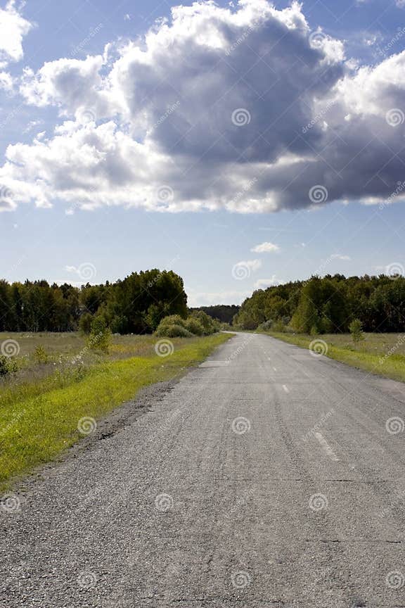 The road forward stock photo. Image of blue, tree, road - 10943374