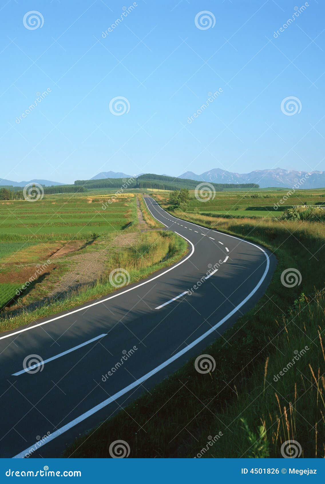 Road and Freedom stock photo. Image of highway, green - 4501826