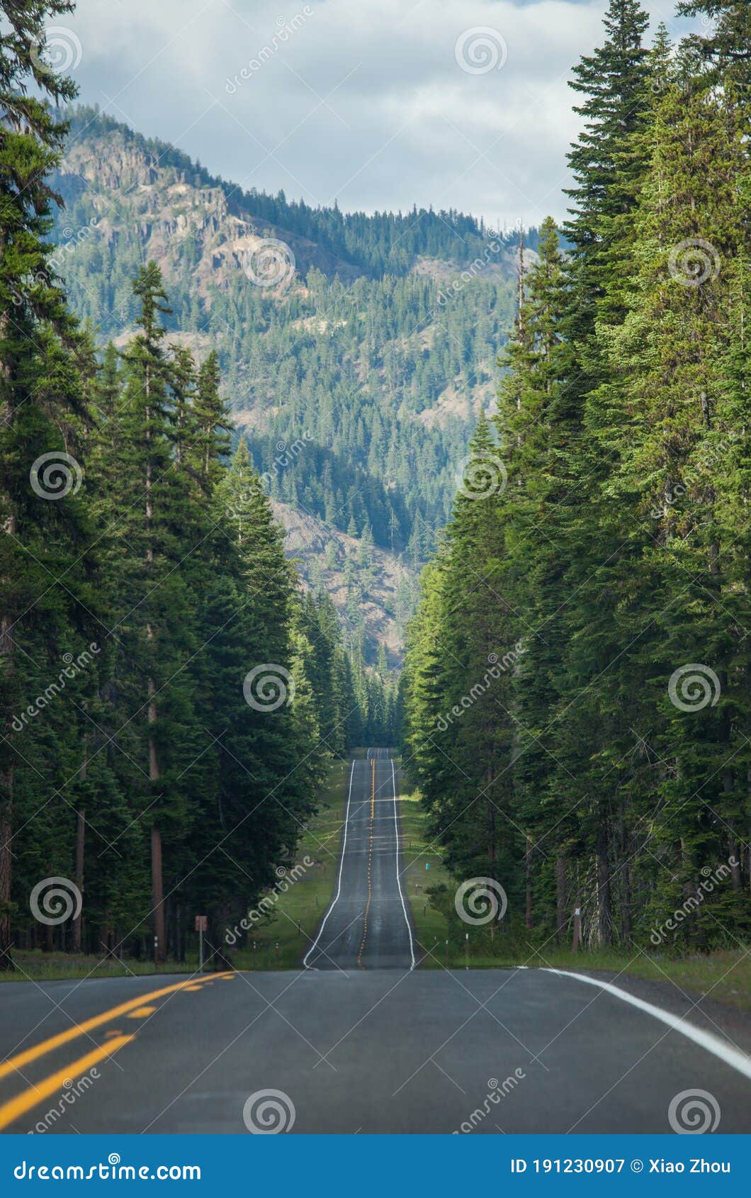 Road in wilderness stock image. Image of forest, freeway - 191230907