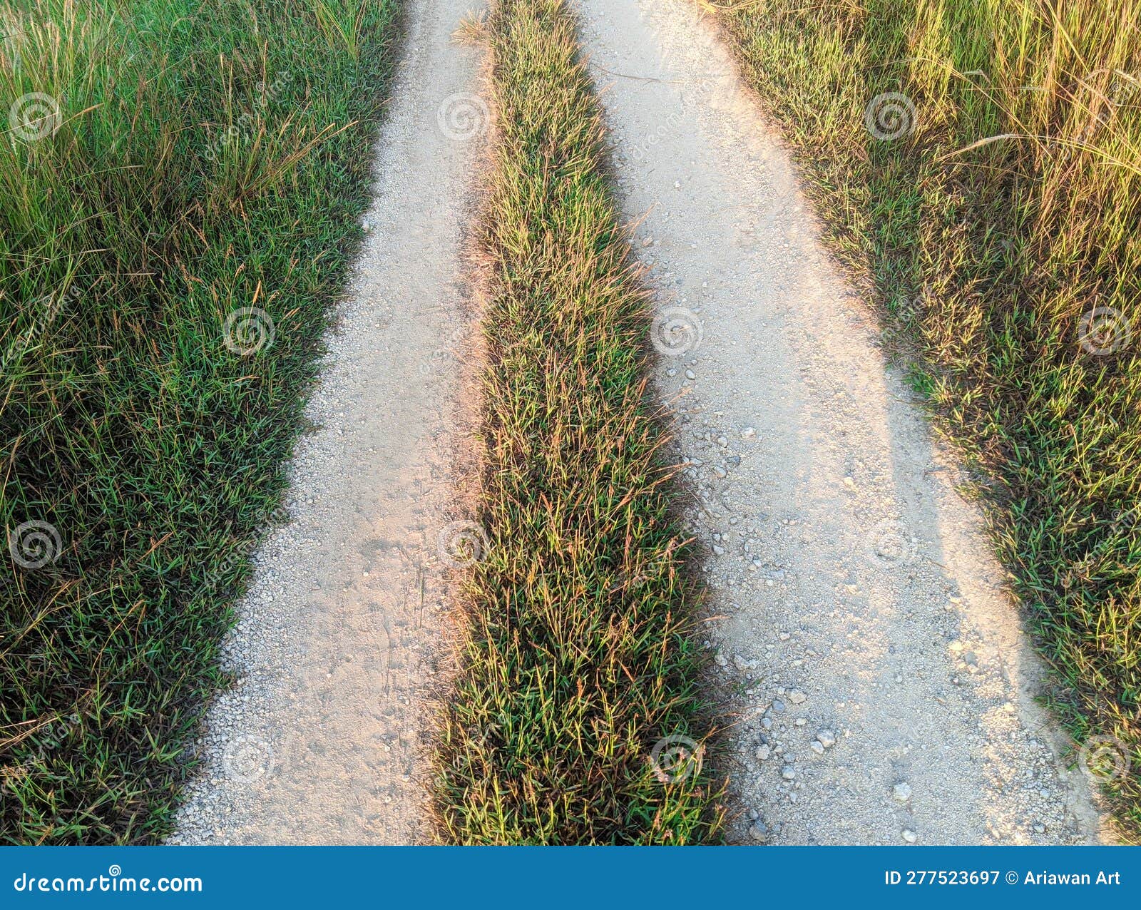 Road and fresh green grass stock image. Image of track - 277523697