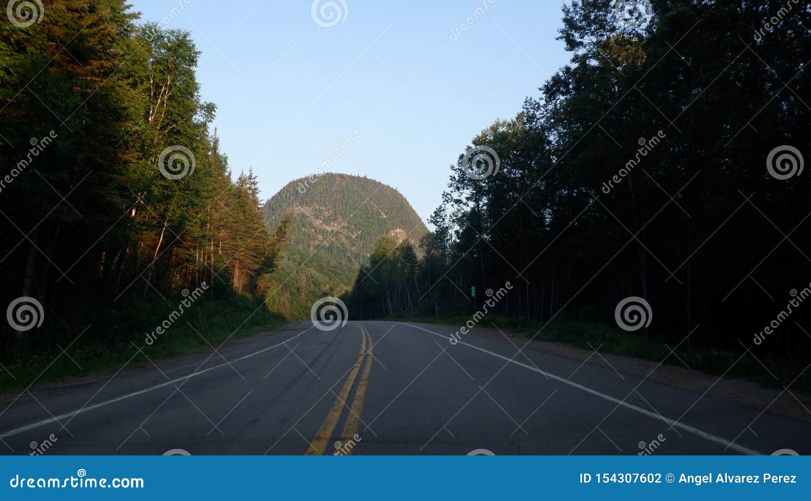 Continuous Double Line Royalty-Free Stock Photo | CartoonDealer.com ...