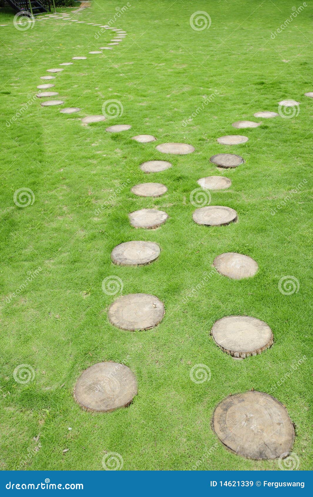 Road in garden stock image. Image of concept, beauty - 14621339