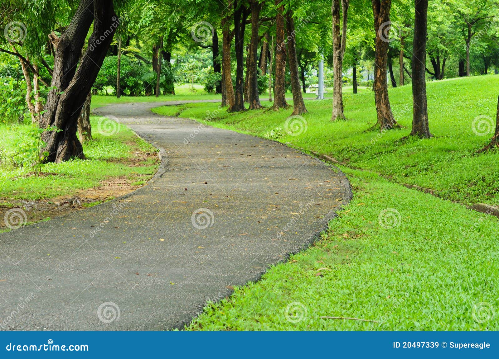 Road and garden stock image. Image of freedom, curve - 20497339