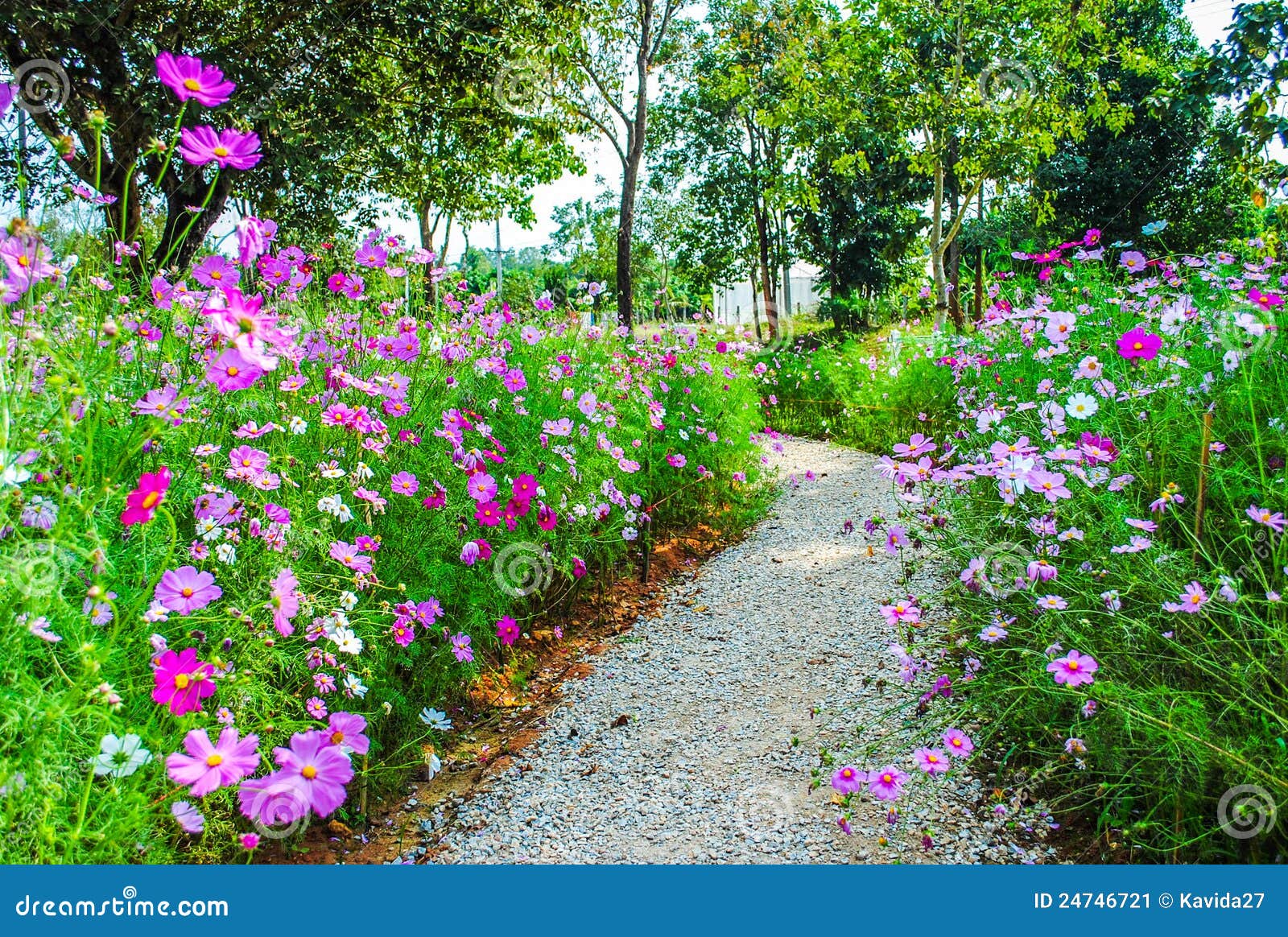Road in the Garden stock image. Image of color, design - 24746721