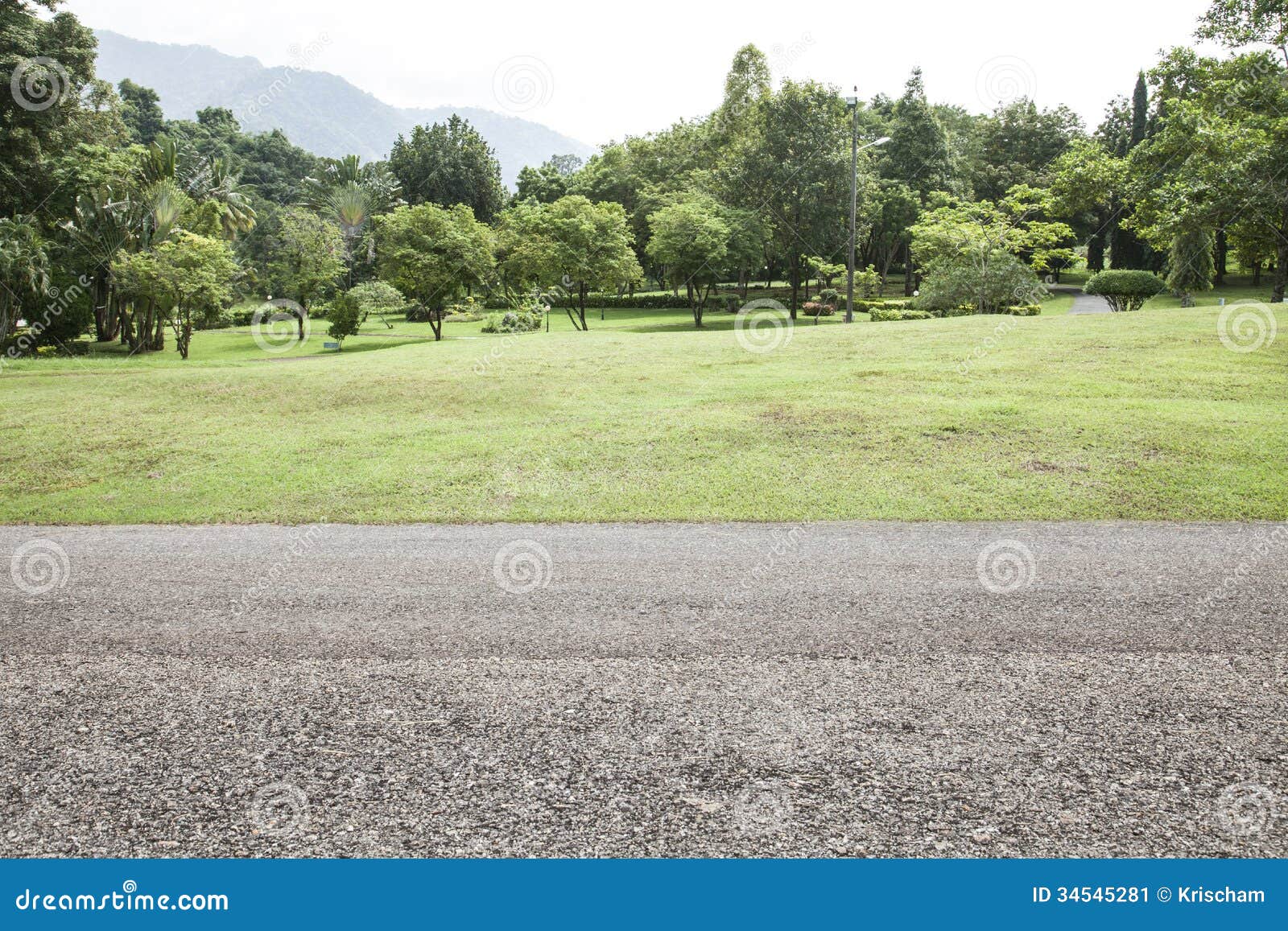 A Walk In The Park Griffith Park Ca. Mother And Daughter Hand In Hand ...