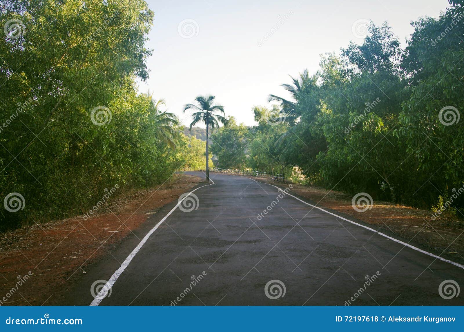 Road in Goa India at Sunny Day Stock Photo - Image of empty, rural ...
