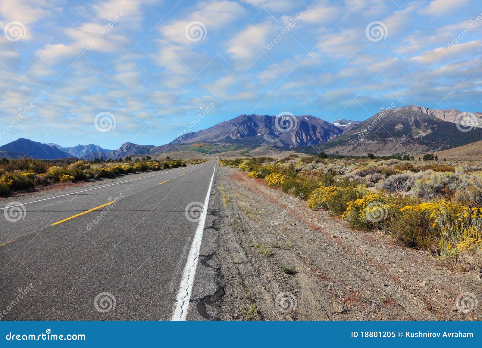 The Road Goes into the Distance. Stock Image - Image of scene ...