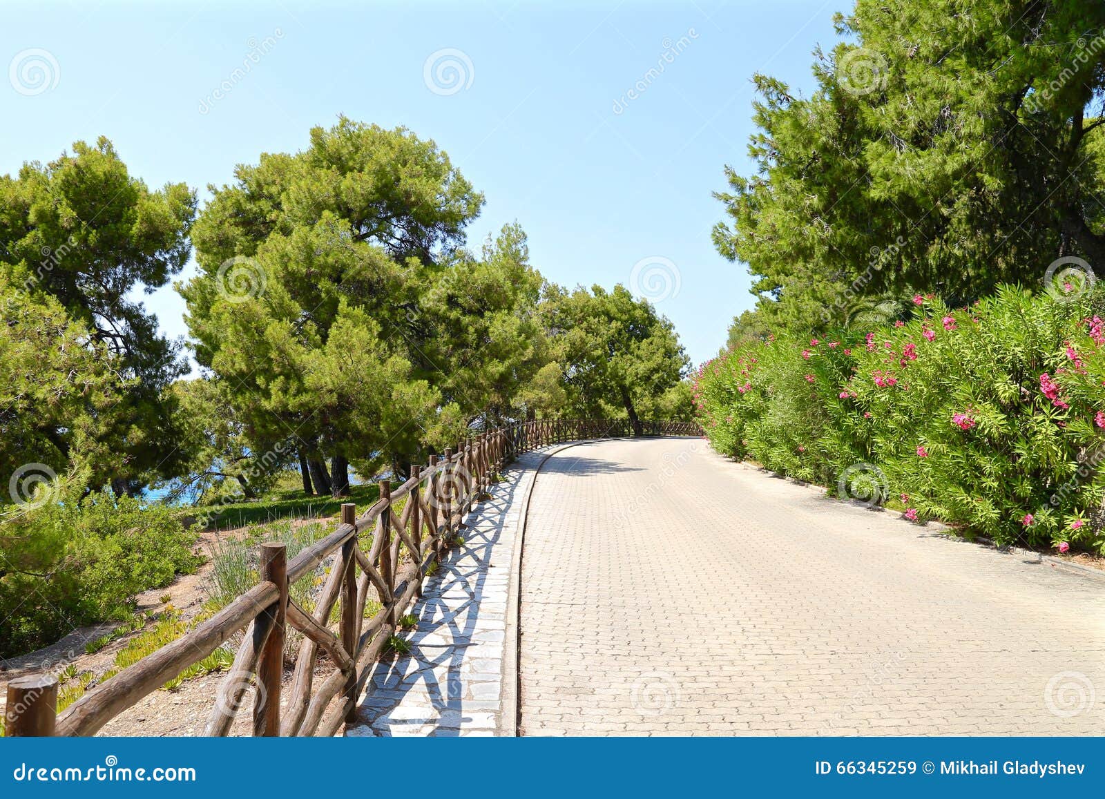 Road going along the sea stock image. Image of nature - 66345259
