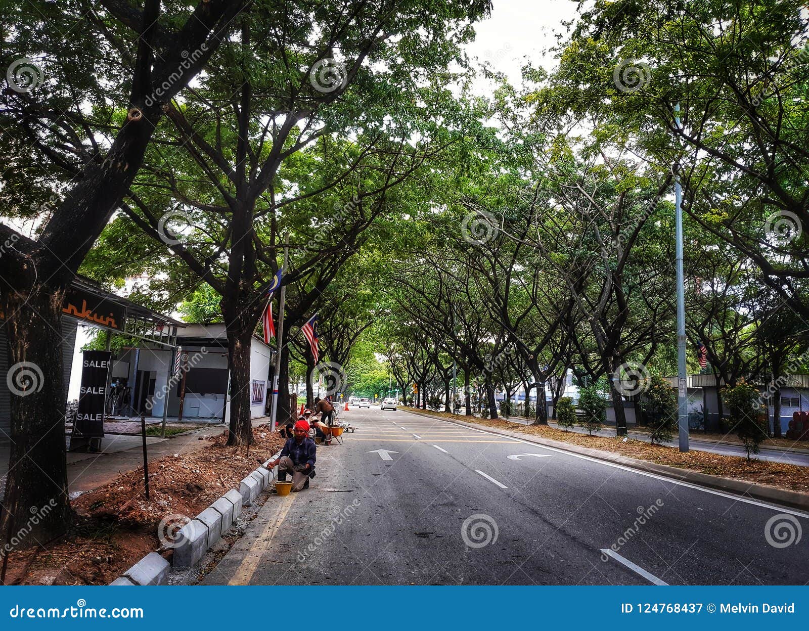 Road editorial photography. Image of view, road, street - 124768437