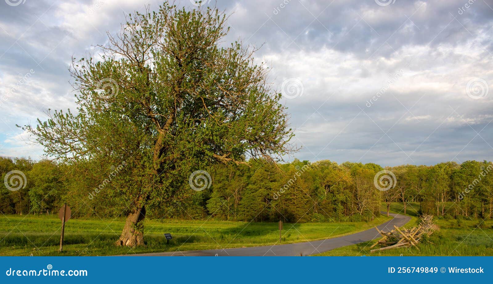 Road Going through the Countryside Surrounded by Trees and Open Fields ...