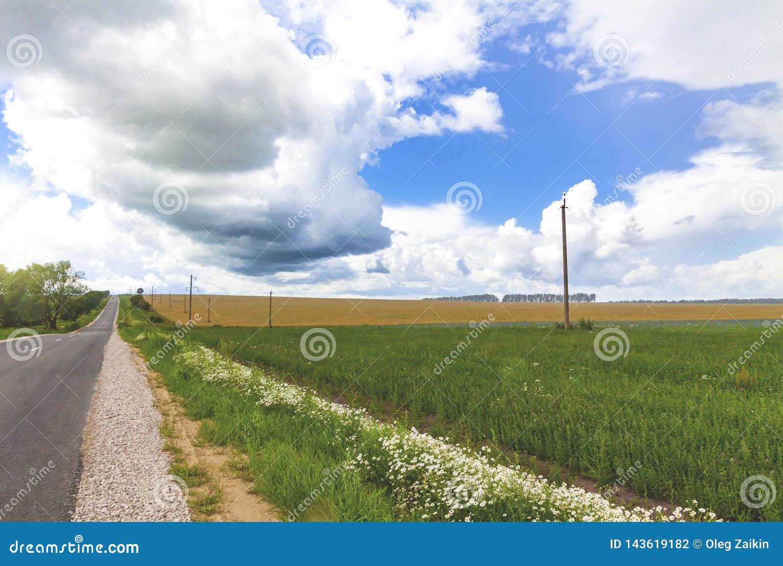 The Road Going into the Distance Along the Fields Stock Photo - Image ...