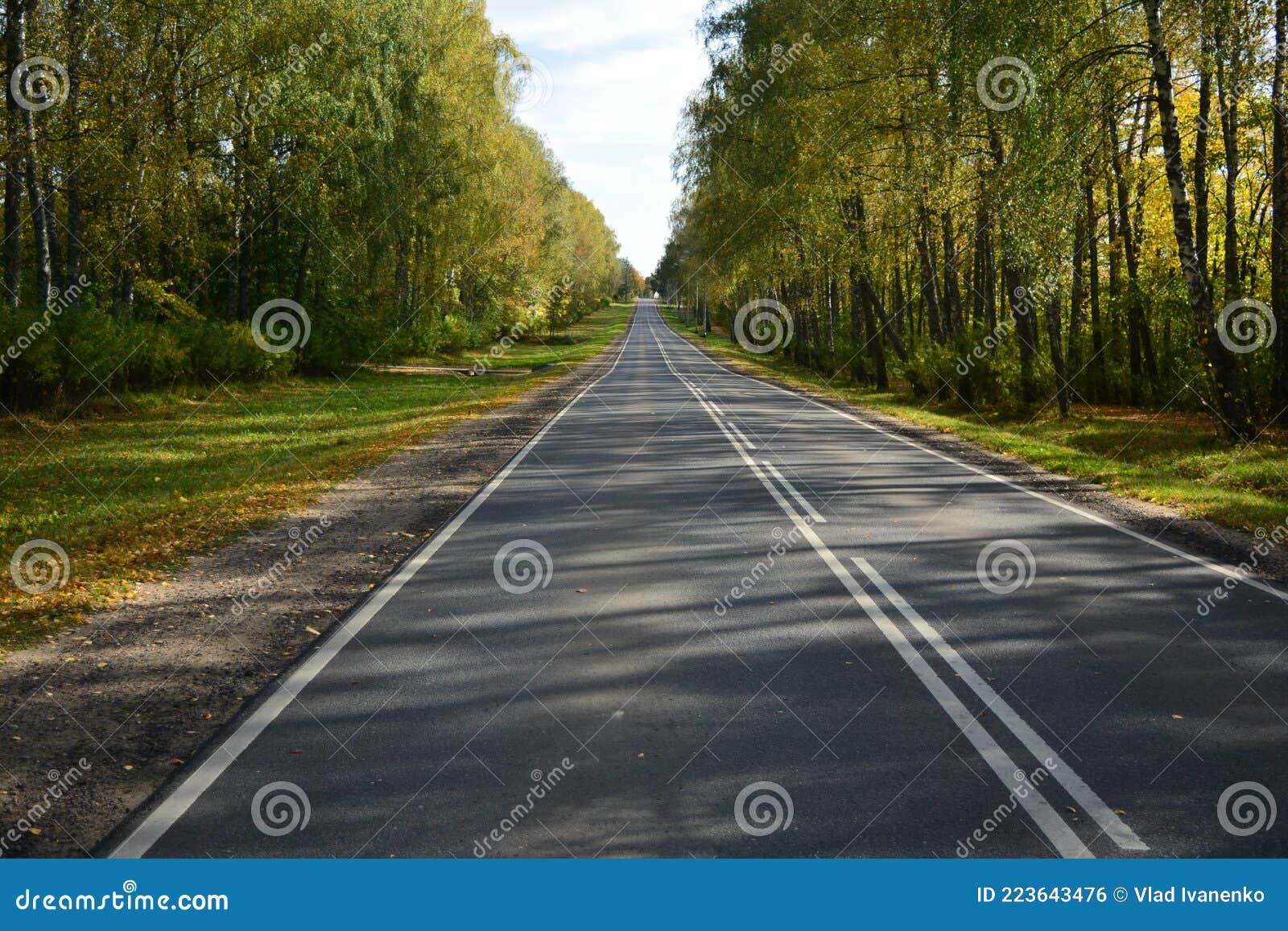 Road Going into the Distance Stock Photo - Image of trail, lane: 223643476